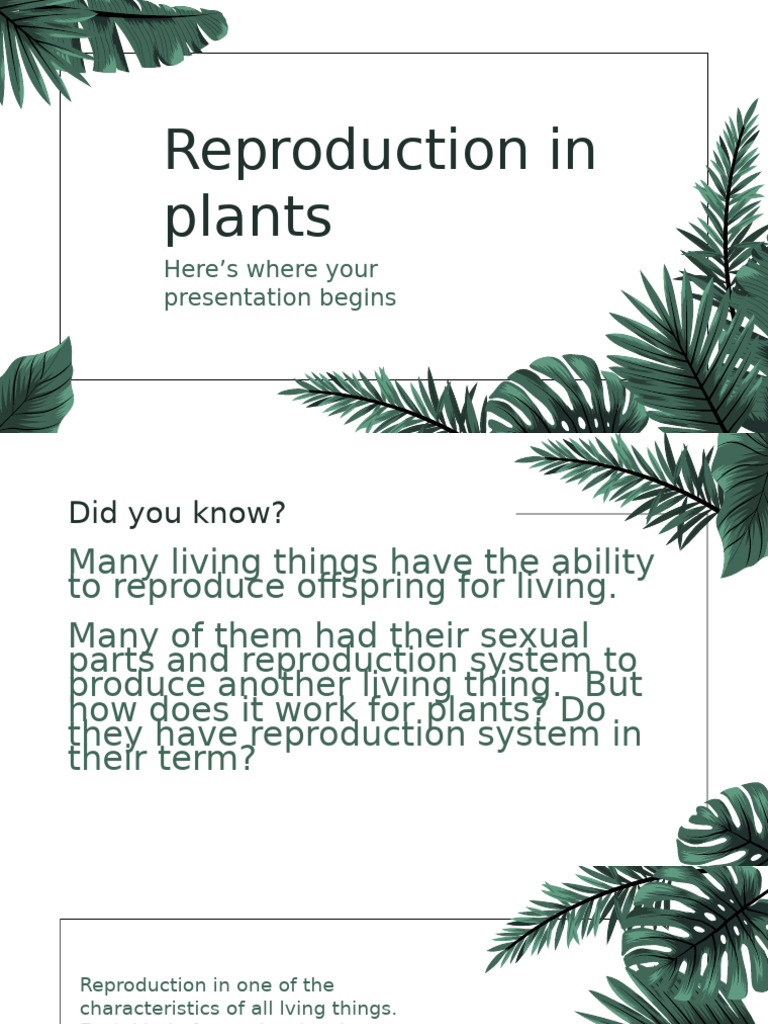 Reproduction in Plants | PDF | Sexual Reproduction | Ploidy