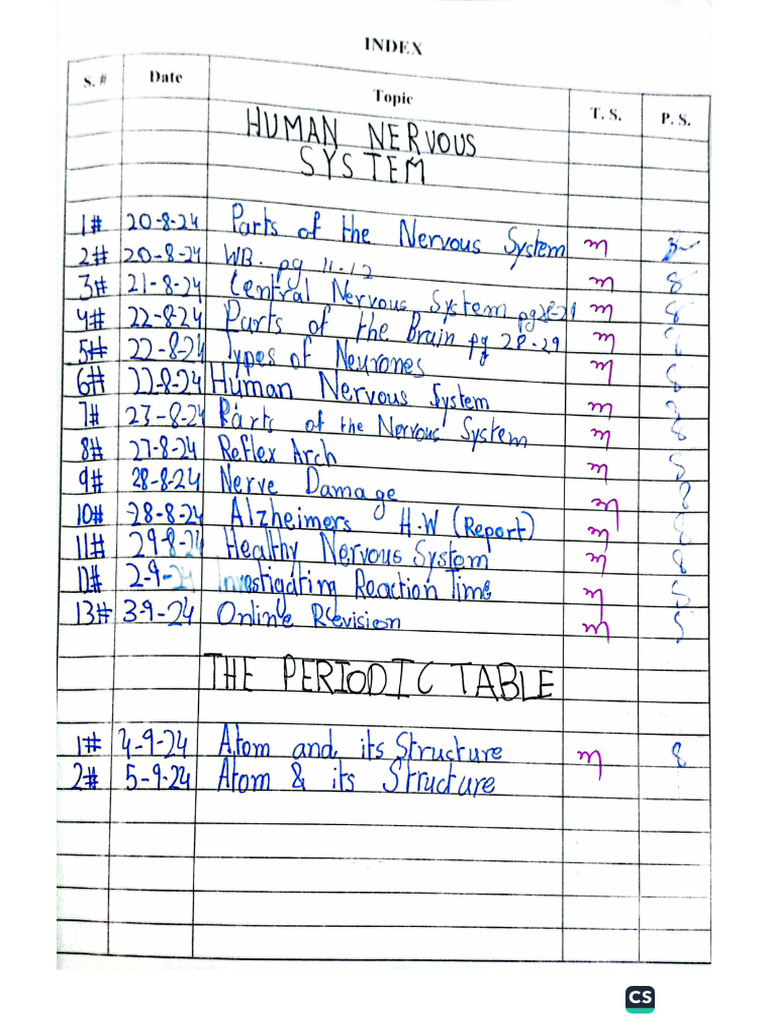 Human Nervous Sytem Copy Work | PDF