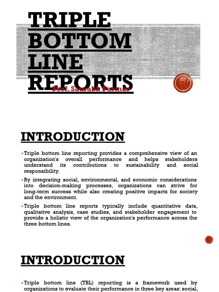 Triple Bottom Line Reports | PDF | Return On Investment | Business