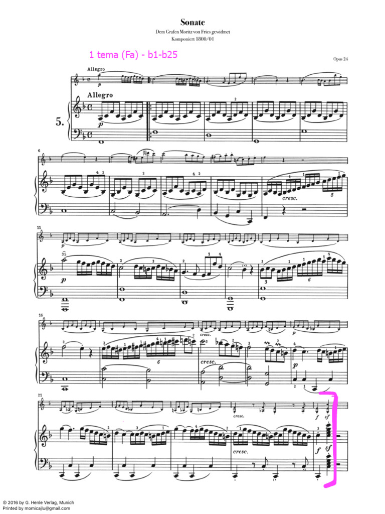 Beethoven Spring Sonata Overview | PDF