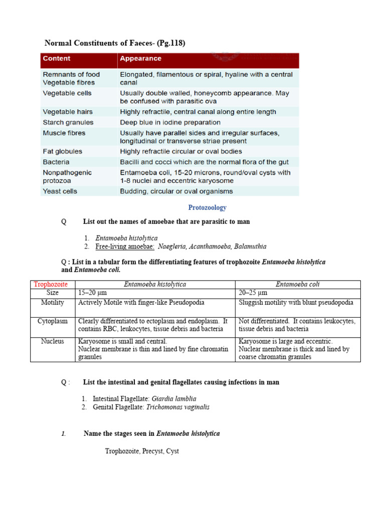 Parasitology Theory - RECORD | PDF | Plasmodium Falciparum | Microbiology