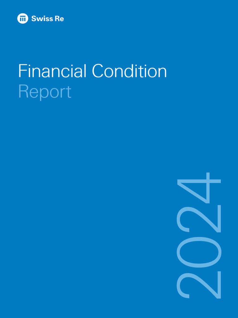 2024 Financial Condition Report | PDF | Financial Risk | Balance Sheet