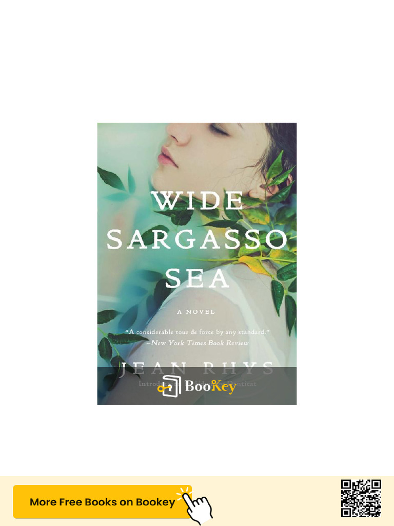 Wide Sargasso Sea PDF | PDF | Jane Eyre
