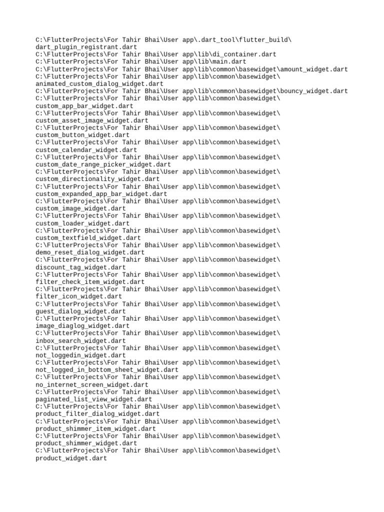 Flutter User App File Structure | PDF | System Software | Software