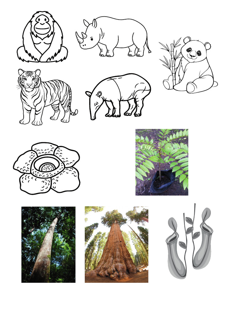 Pokok Dan Tumbuhan Pupus | PDF