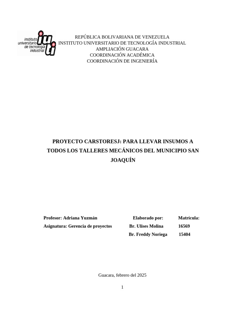 Gerencia de Proyectos (Trabajo de Proyecto) (1) Michi | PDF | Economias | Marketing