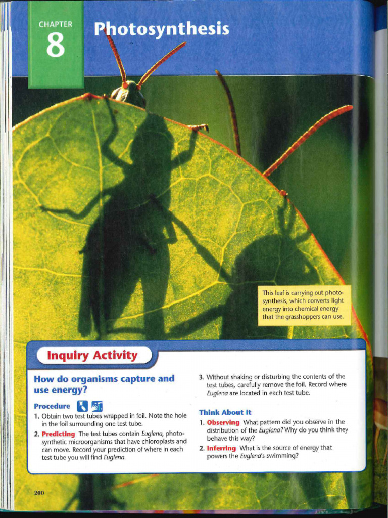 Photosynthesis - Cellular Respiration Textbook | PDF