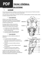 Anatomie de la fosse cérébrale postérieure | PDF | Cervelet | Moelle ...