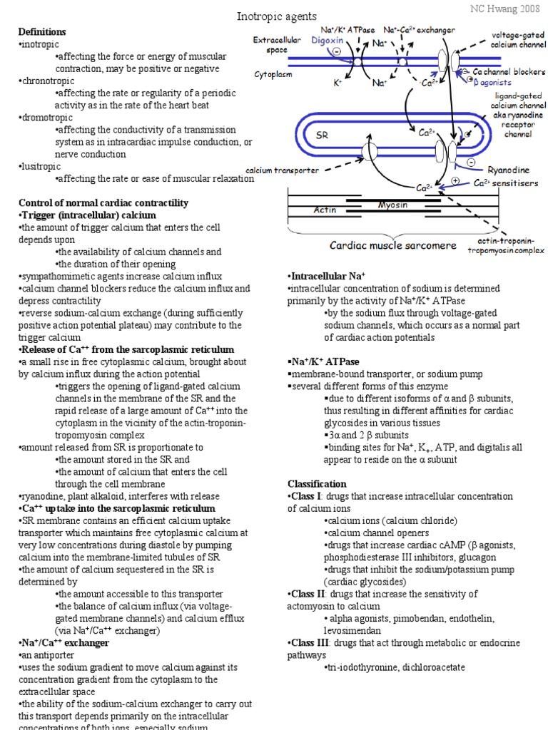 Inotropic Agents | Heart | Vasodilation