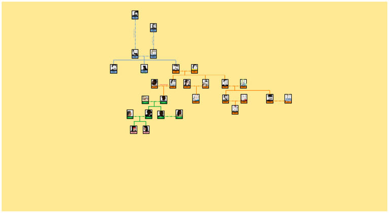 Wojak Family Tree Overview | PDF