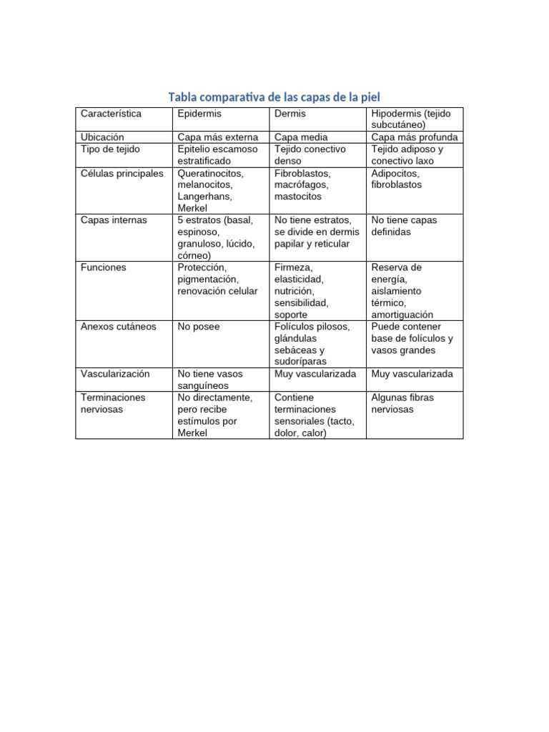 Tabla Capas de La Piel Corregida | PDF
