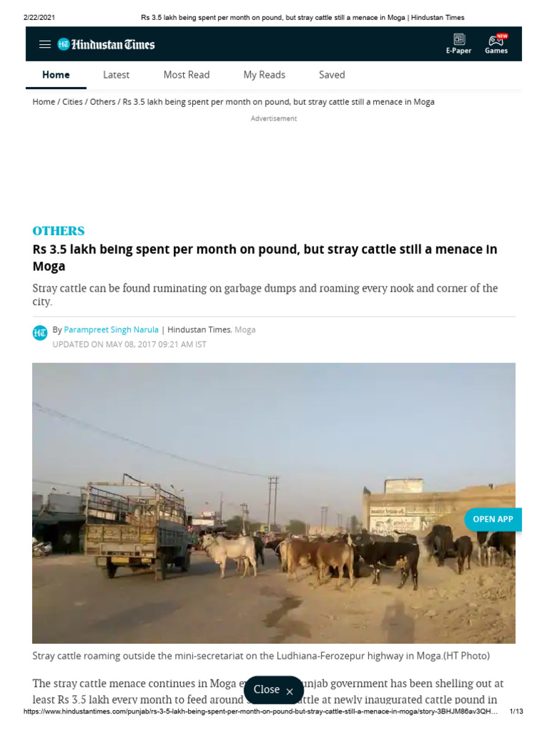 Rs 3.5 Lakh Being Spent Per Month On Pound, But Stray Cattle Still A ...