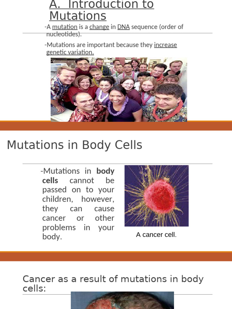 Quarter 3 Mutations | PDF | Point Mutation | Mutation