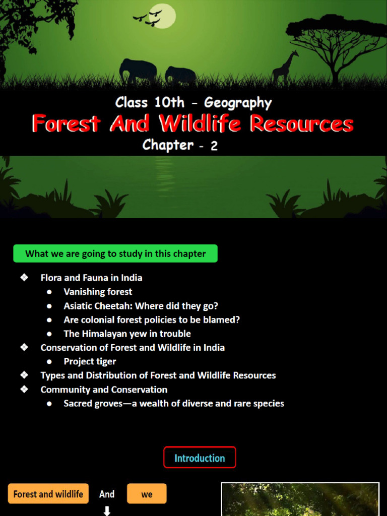 Forest and Wildlife PPT Class 10th Geography | PDF