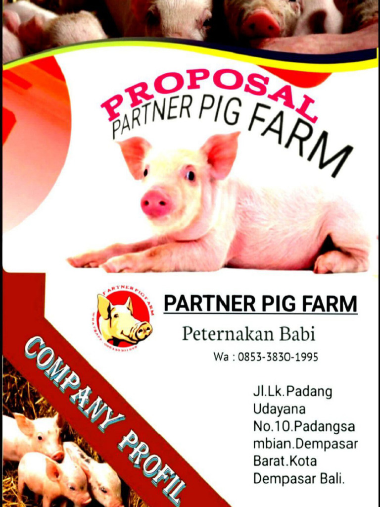 Proposal Partner Pig Farm | PDF