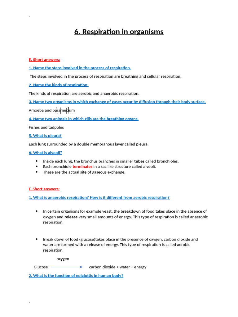 Understanding Respiration in Organisms | PDF | Respiratory System ...
