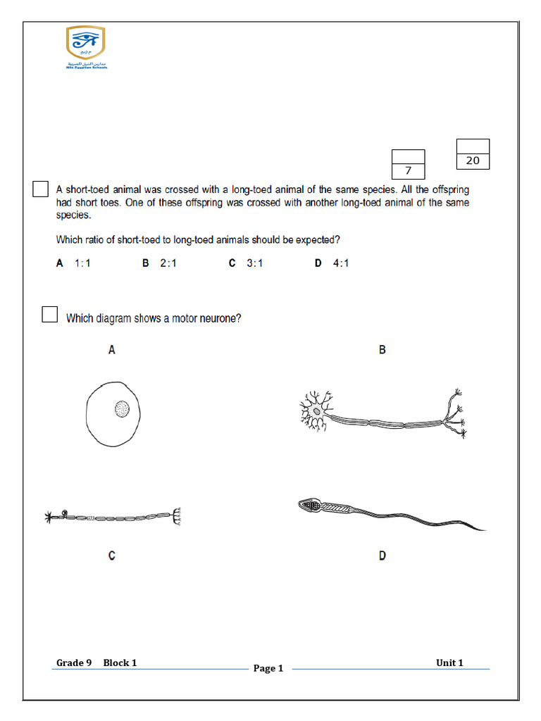 Grade 9 Nile Egyptian Schools Unit 1 | PDF