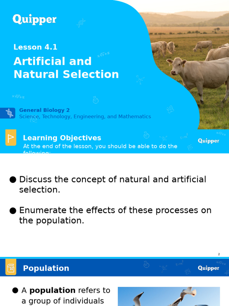 Lesson 4-Mechanisms of Population Change | PDF | Genetics | Allele