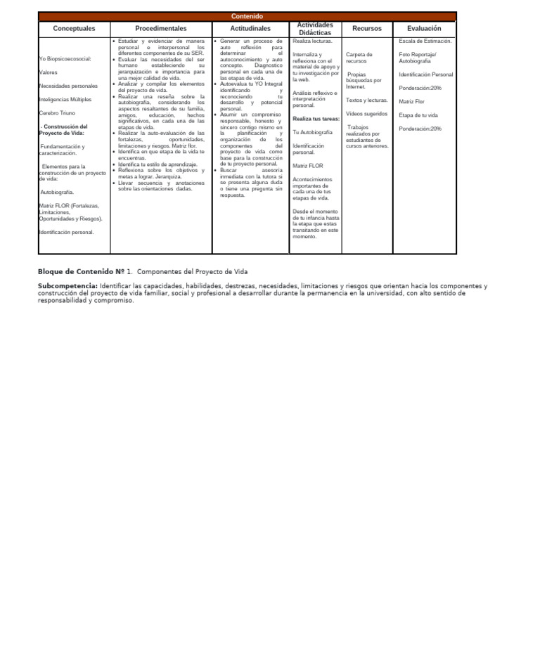 Programacion Didactica | PDF | Aprendizaje | Cognición
