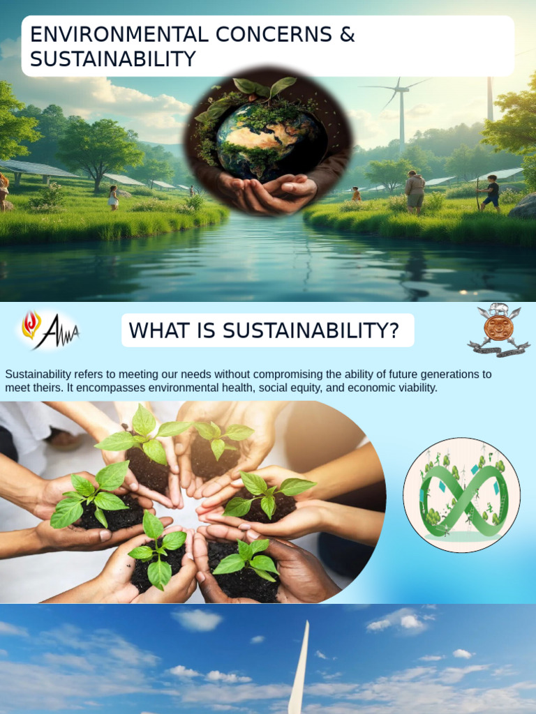 Environmental Concerns & Sustainability | PDF