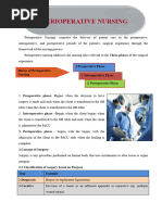 PRE OPERATIVE CHECKLIST | PDF