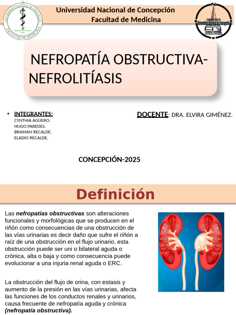UTO y Nefrolitiasis - Presentacion | PDF | Urología | Especialidades Medicas
