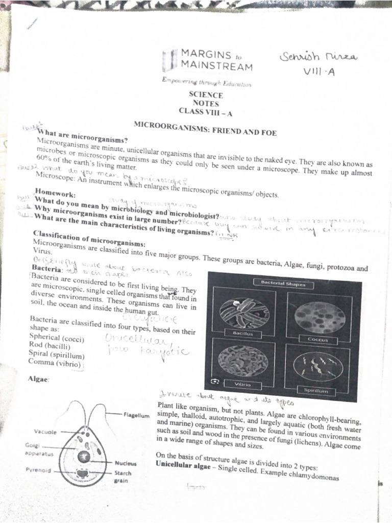 Microorganisms:friend or Foe Class 8 Notes 1 | PDF