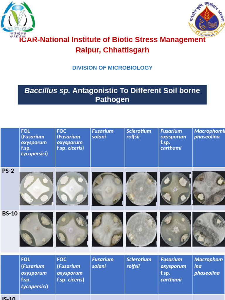 Presentation4 2 | PDF