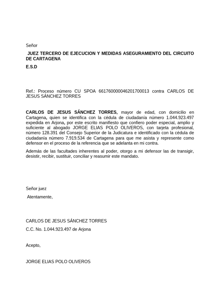 Poder Especial en Proceso Judicial | PDF