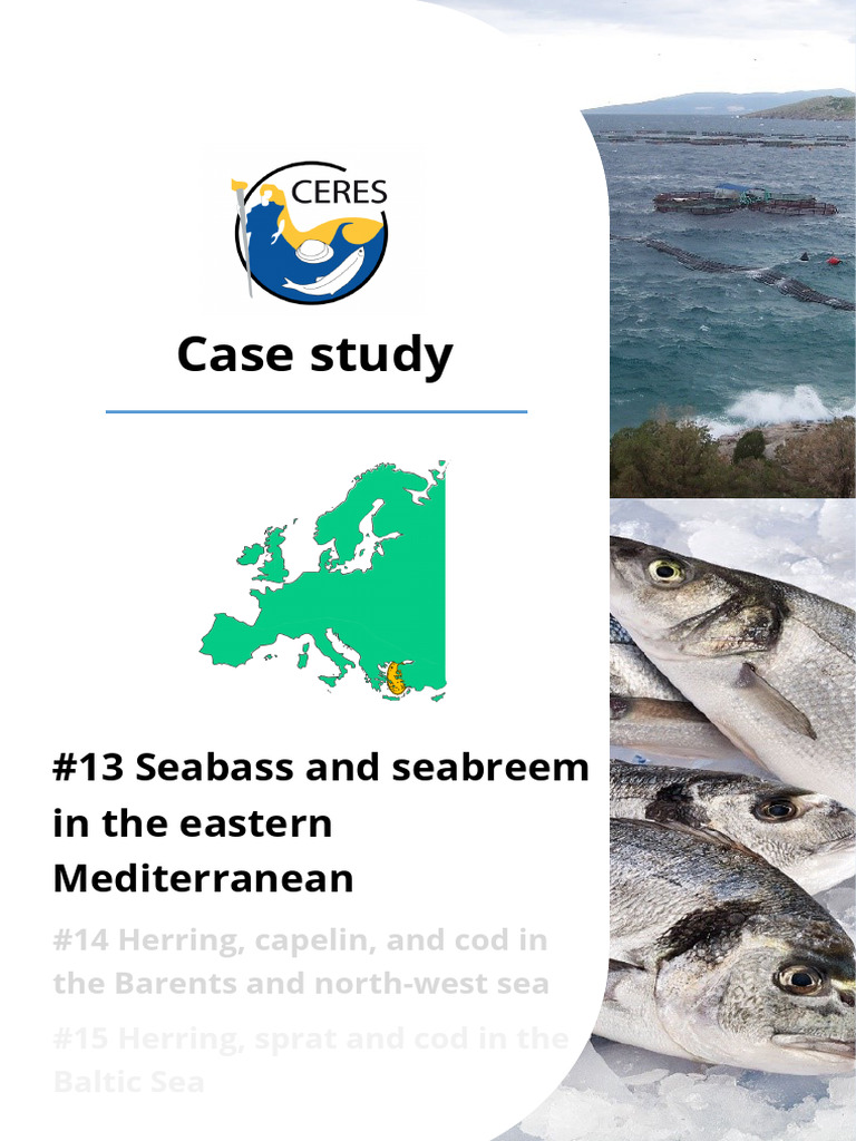 13 Seabass and Seabreem in The Eastern Mediterranean Revised | PDF ...
