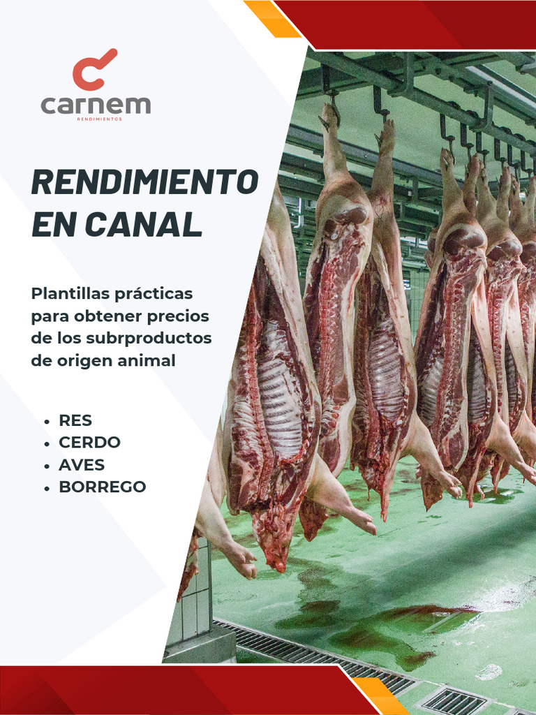 Manual De Rendimiento En Canal Pdf Carne Carne De Vaca