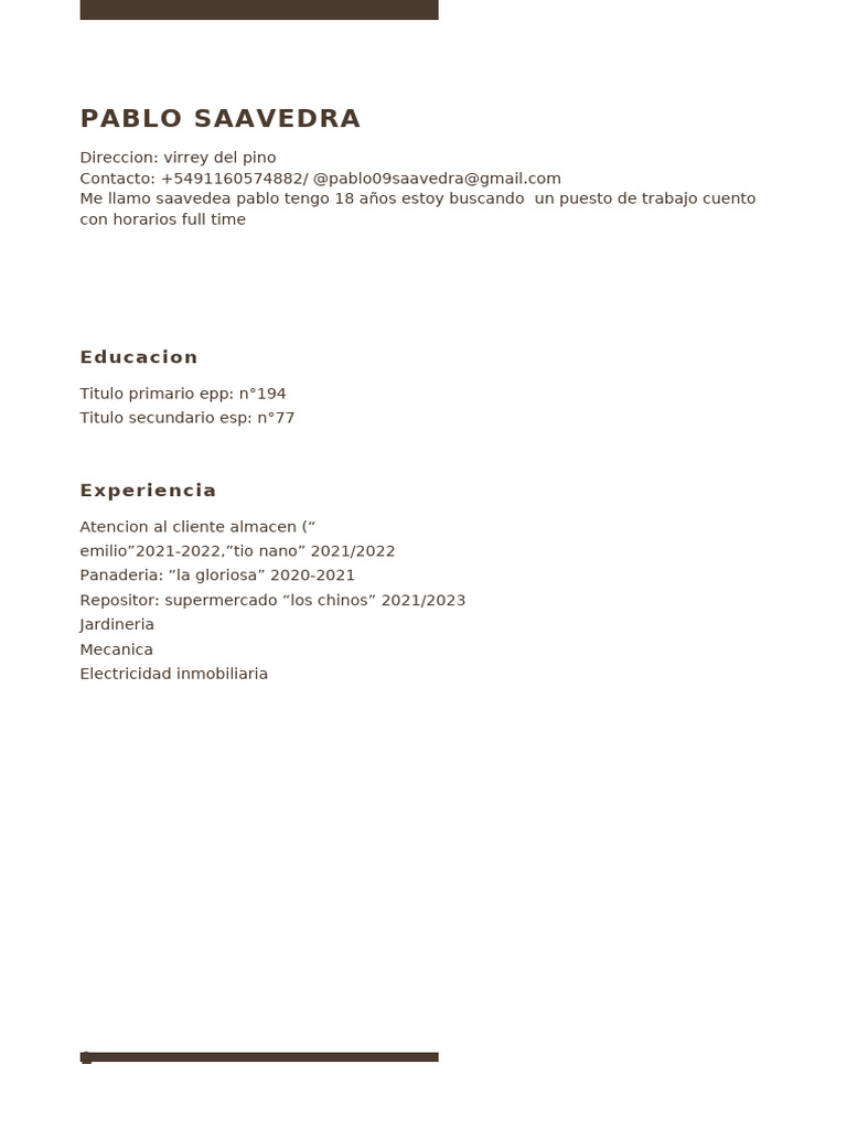 Curriculum Pablo | PDF