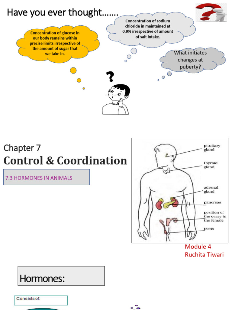 Control & Coordination Module 4 | PDF | Hormone | Endocrine System