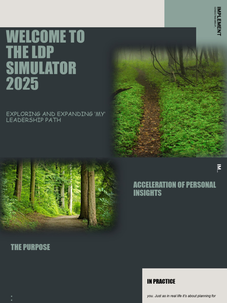Leadership Development Simulator 2025 | PDF | Leadership | Simulation