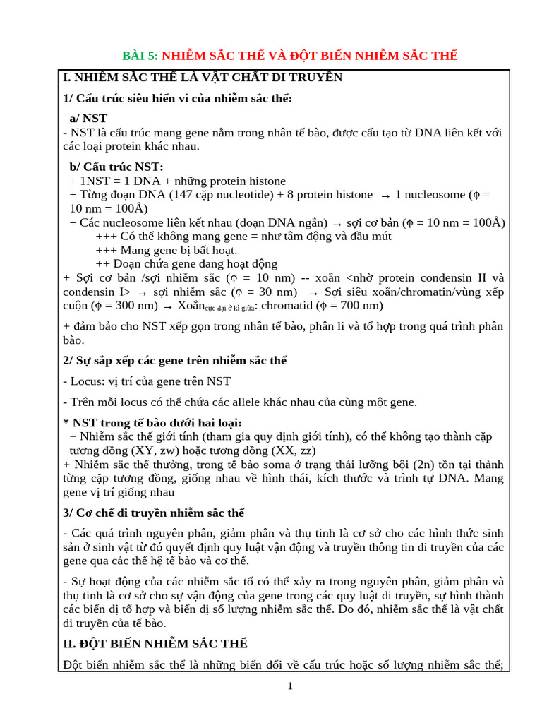 VOGHIBAI - SGK - SH12 - Bai - 5 - GV | PDF