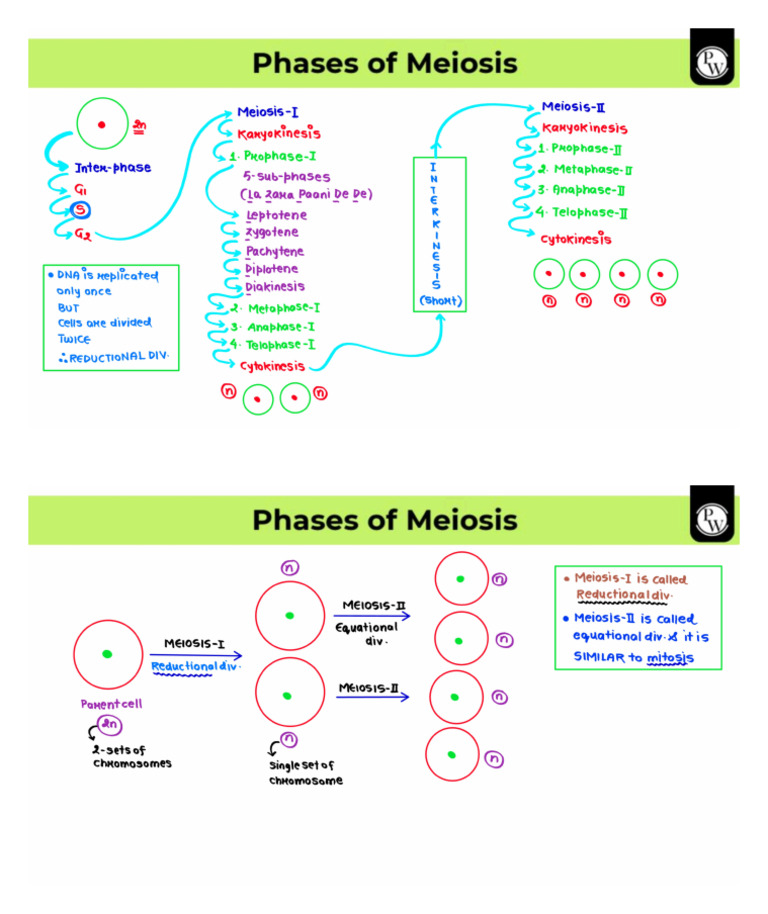 Gfdchisvjyvii Invert | PDF