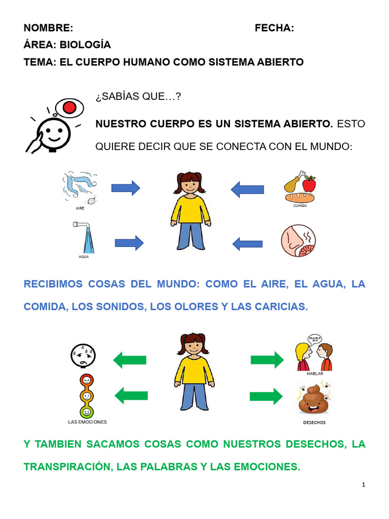 El Cuerpo Humano Como Sistema Abierto, Los 5 Sentidos, Funciones | PDF ...