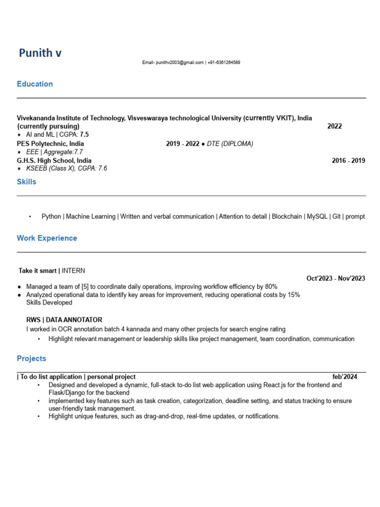 Puni RWS Resume-2 | PDF | Business | Computing