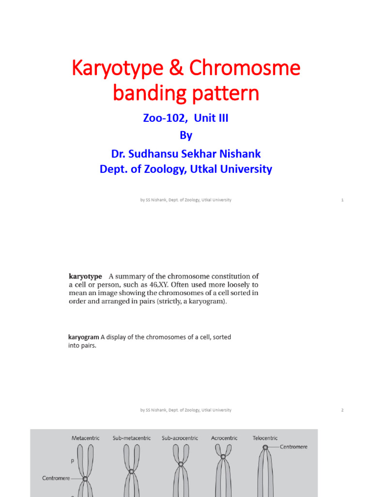 Karyotyping Chromosome Banding | PDF | Karyotype | Chromosome