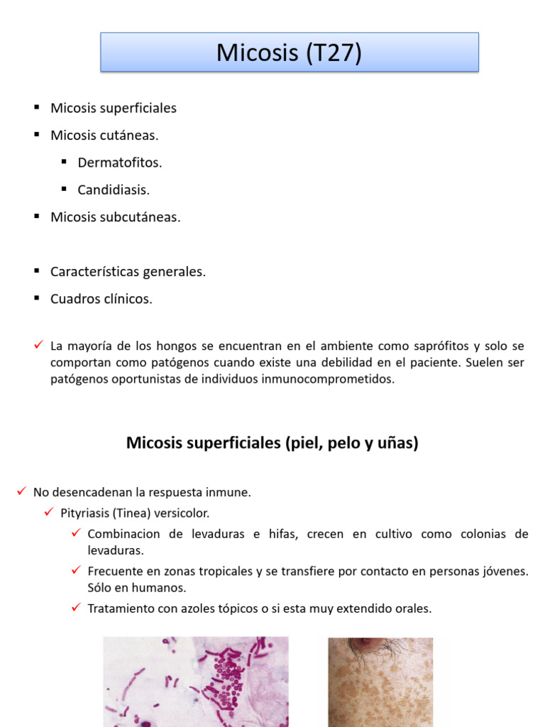 027 Micro-Med Micosis | PDF | Candidiasis | Enfermedades y trastornos ...