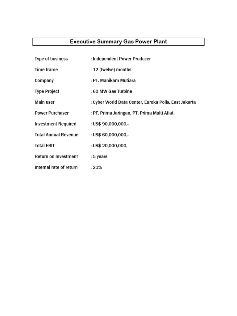 Executive Summary Indipendent Power Producer | PDF