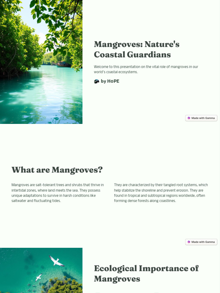 Importance of Mangroves in Ecosystems | PDF | Mangrove | Coast