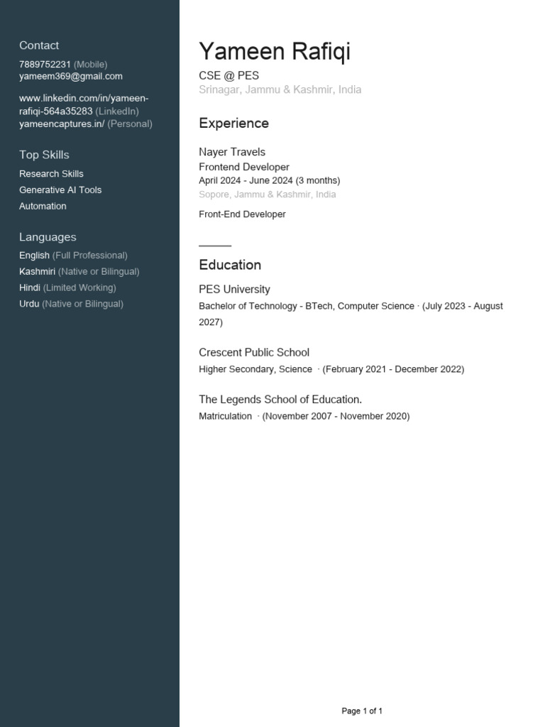 Yameen Rafiqi Profile | PDF