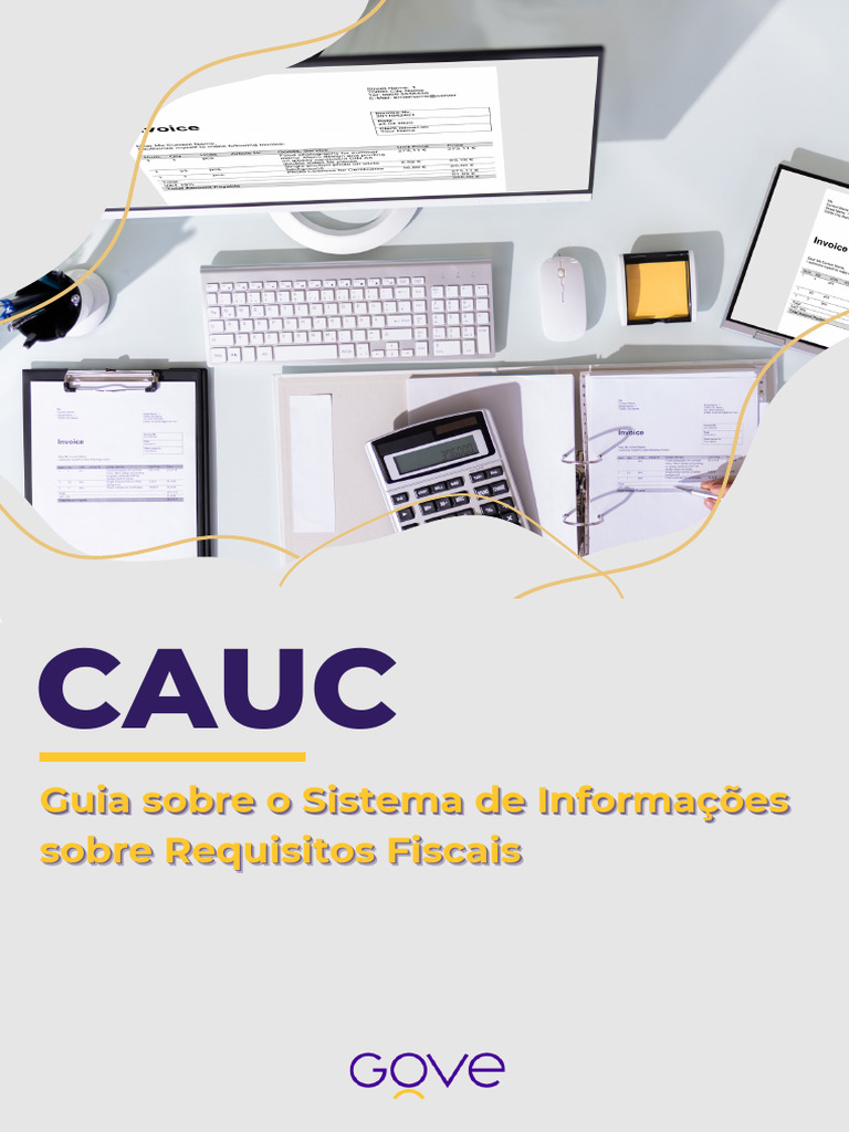 GUIA SOBRE O CAUC 2025 | PDF | Orçamento governamental | Contabilidade