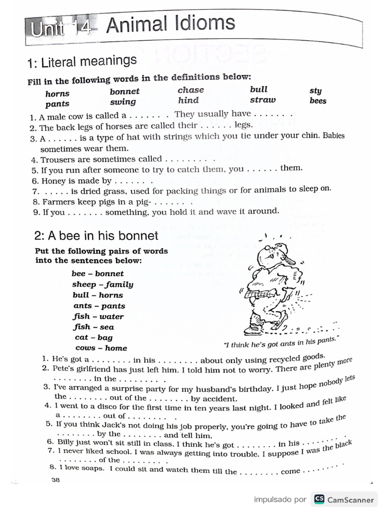Idioms - Animal Idioms | PDF