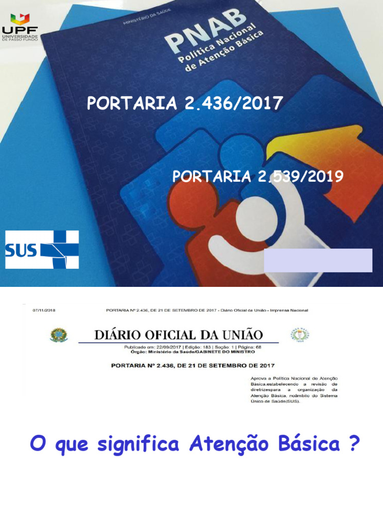 Aula Pnab MLDM 2025 - Abril | PDF | Enfermagem | Sistema de saúde