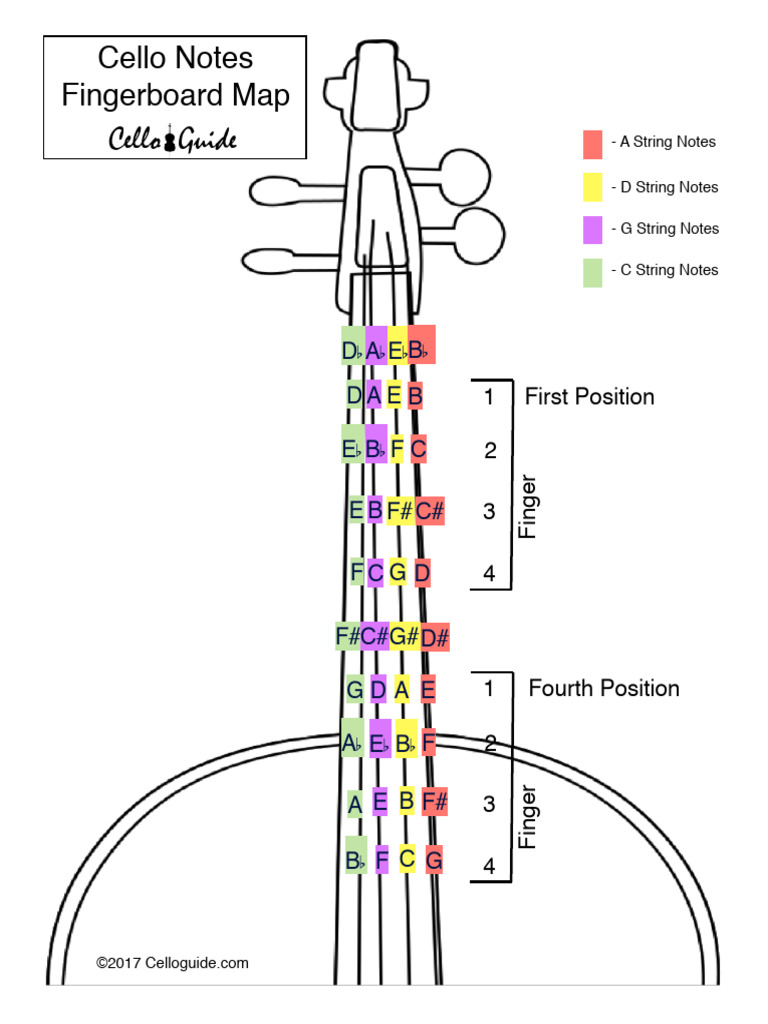 Cello Fingerboard Note Guide | PDF