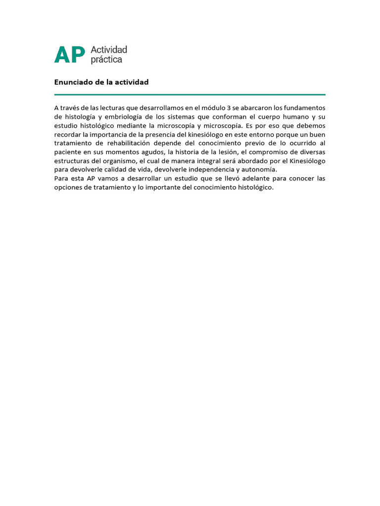 AP3 - Enunciado de La Actividad | PDF