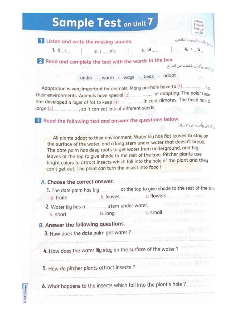 Sample Test On Unit 7 | PDF