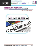 S4HANA Credit Management Reports Overview | PDF | Information | Credit